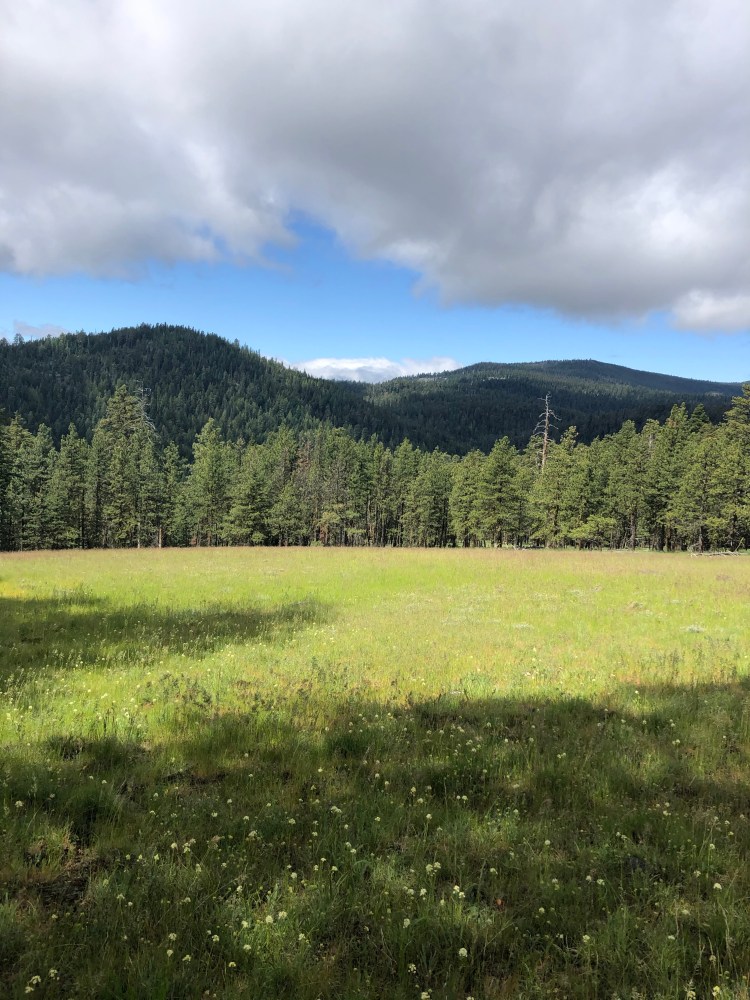 CLASSES & EVENTS – Wild Solitude