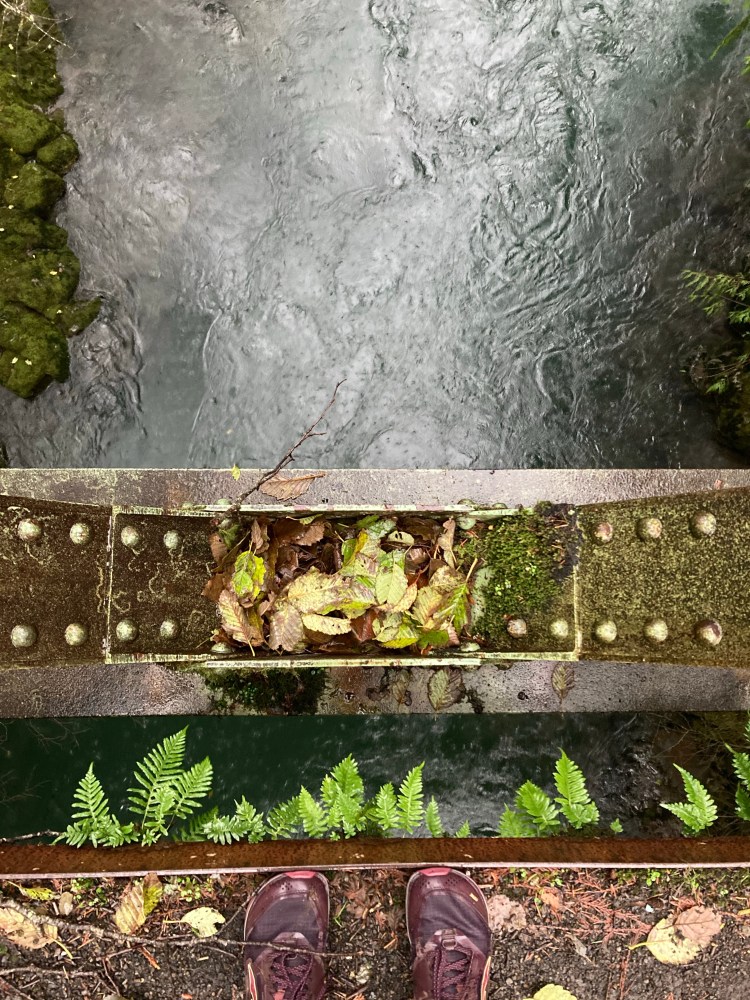 MINI GUIDE LIBRARY – Wild Solitude