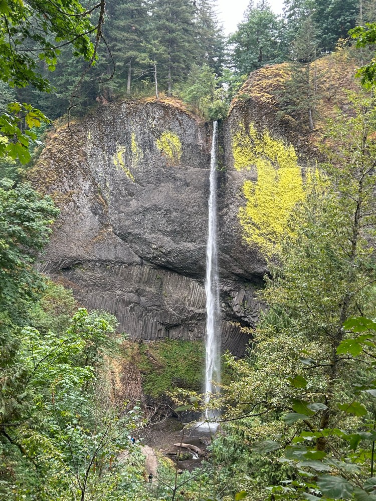 CLASSES & EVENTS – Wild Solitude