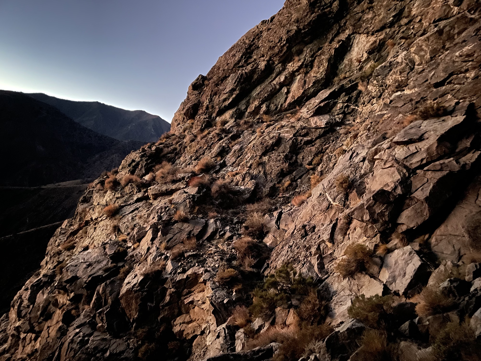 Media & Publications – Wild Solitude